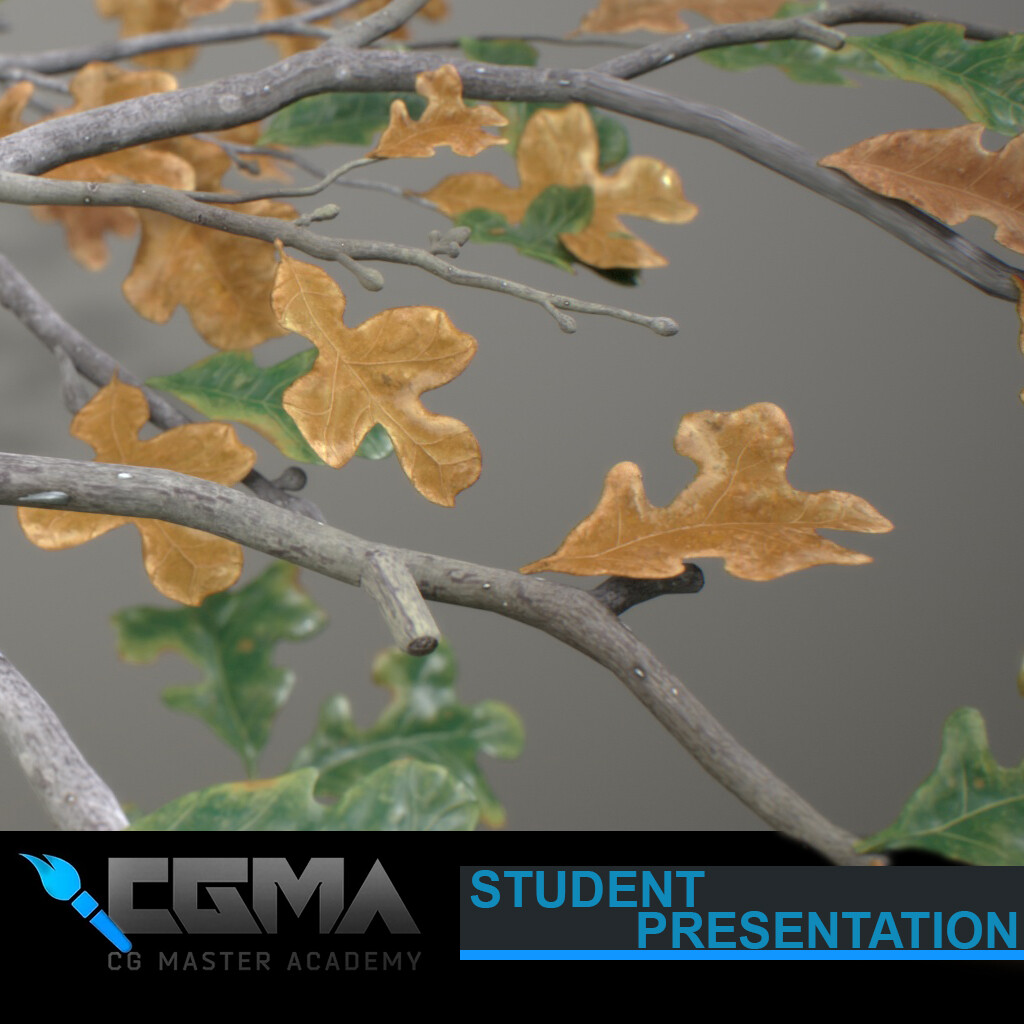 ArtStation - CGMA: Vegetation and Plants for Games, Hi-Poly Breakdowns