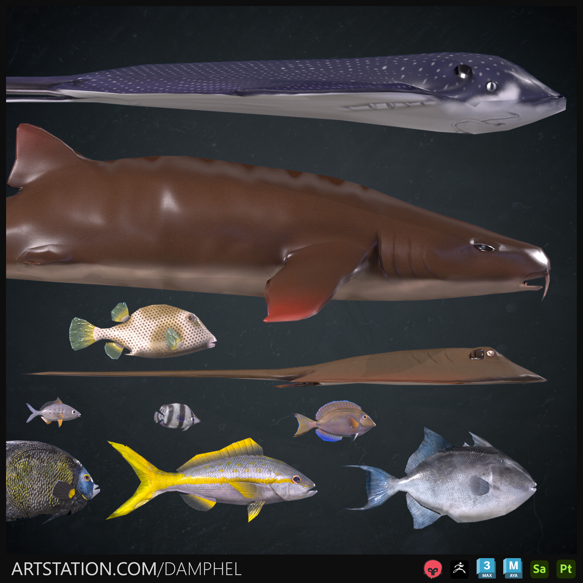 ArtStation - Realistic Caribbean Fishes | VR Ready | Unity Assets