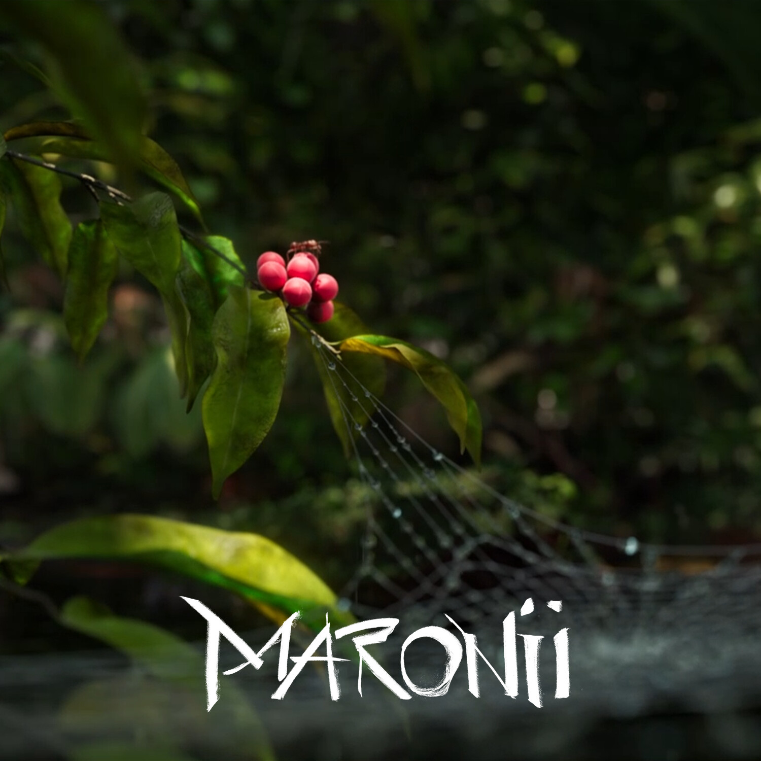 Mai Nguyen - Maronii - Sequence 01