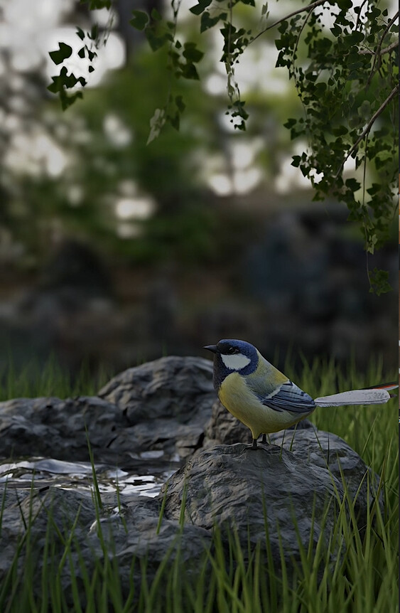 ArtStation - Realistic Bird 3D