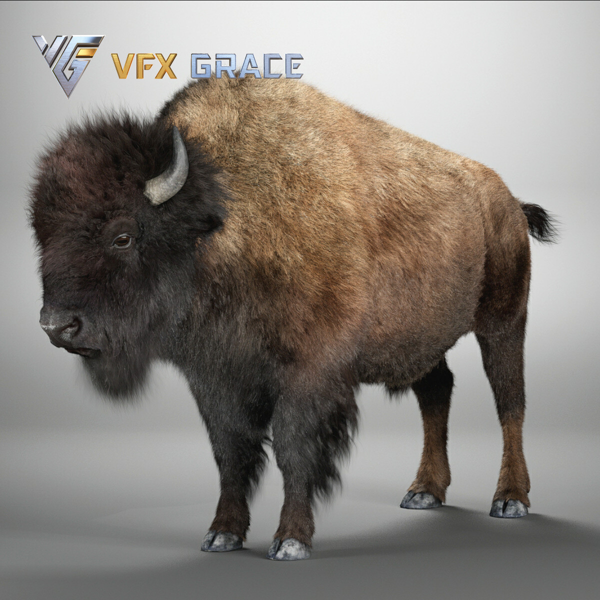 VFX models - Bison Male - UE Character Asset