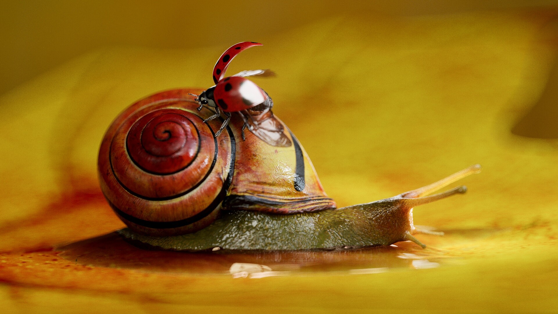 ArtStation - The Snaily Ride