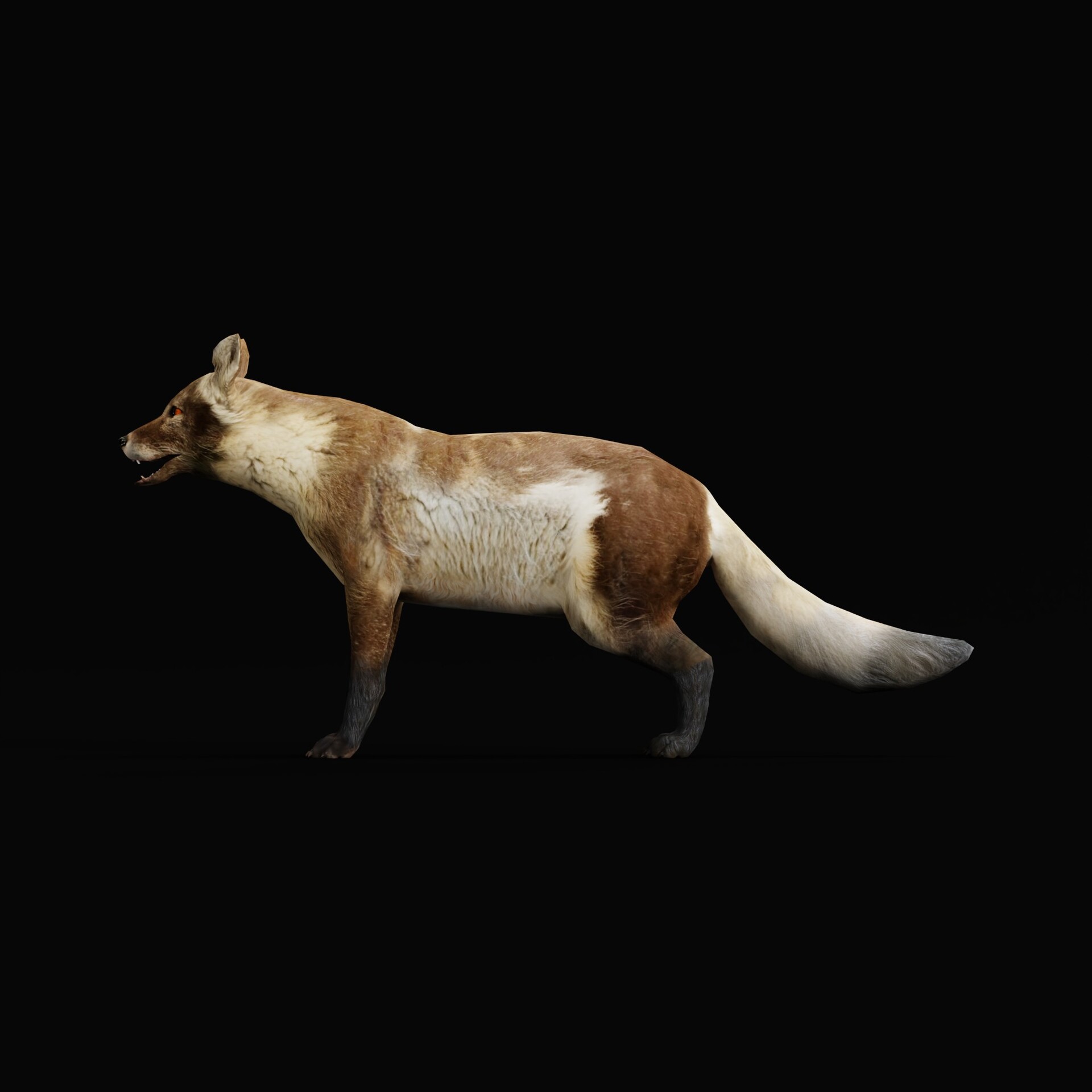 ArtStation - Arctic Polar Fox Summer (LowPoly)