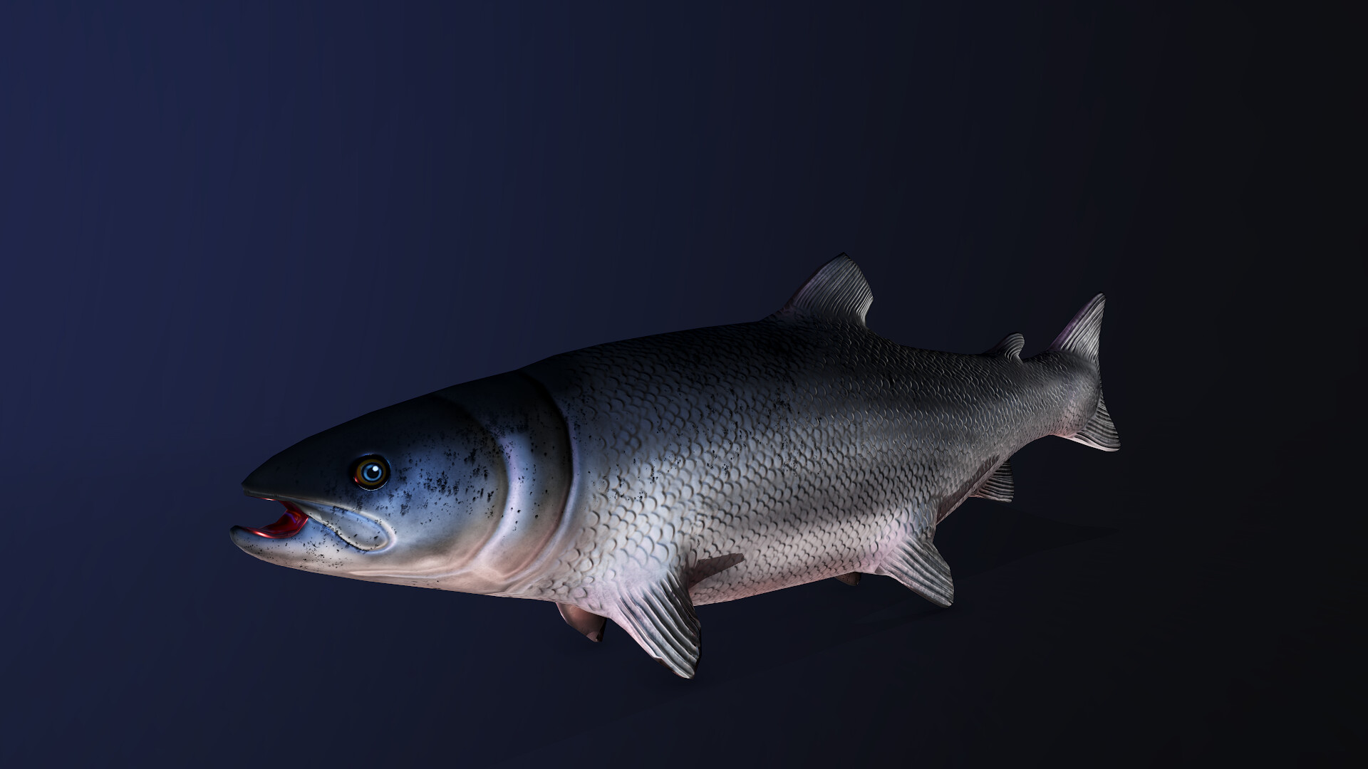 ArtStation - 3D Salmon Fish Model asset for upcoming game