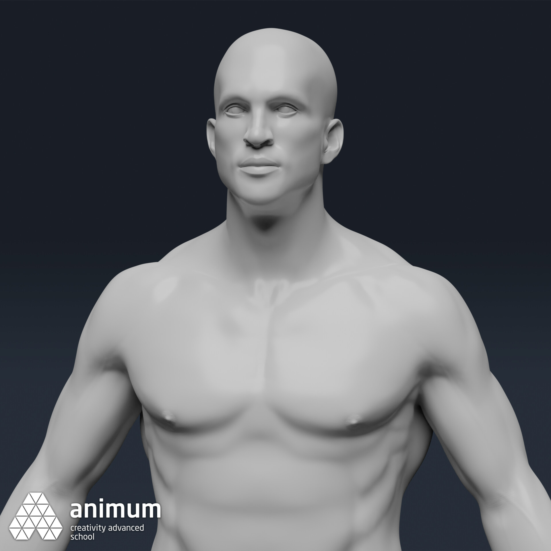 ArtStation - Human Anatomy Study