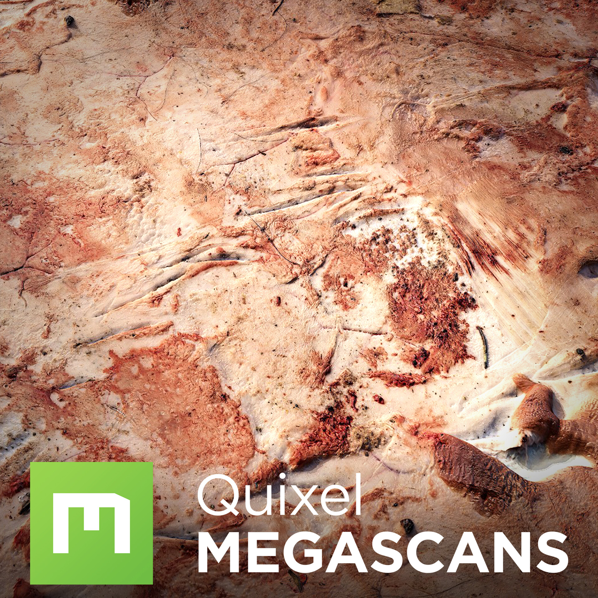 ArtStation - Megascans - Gore