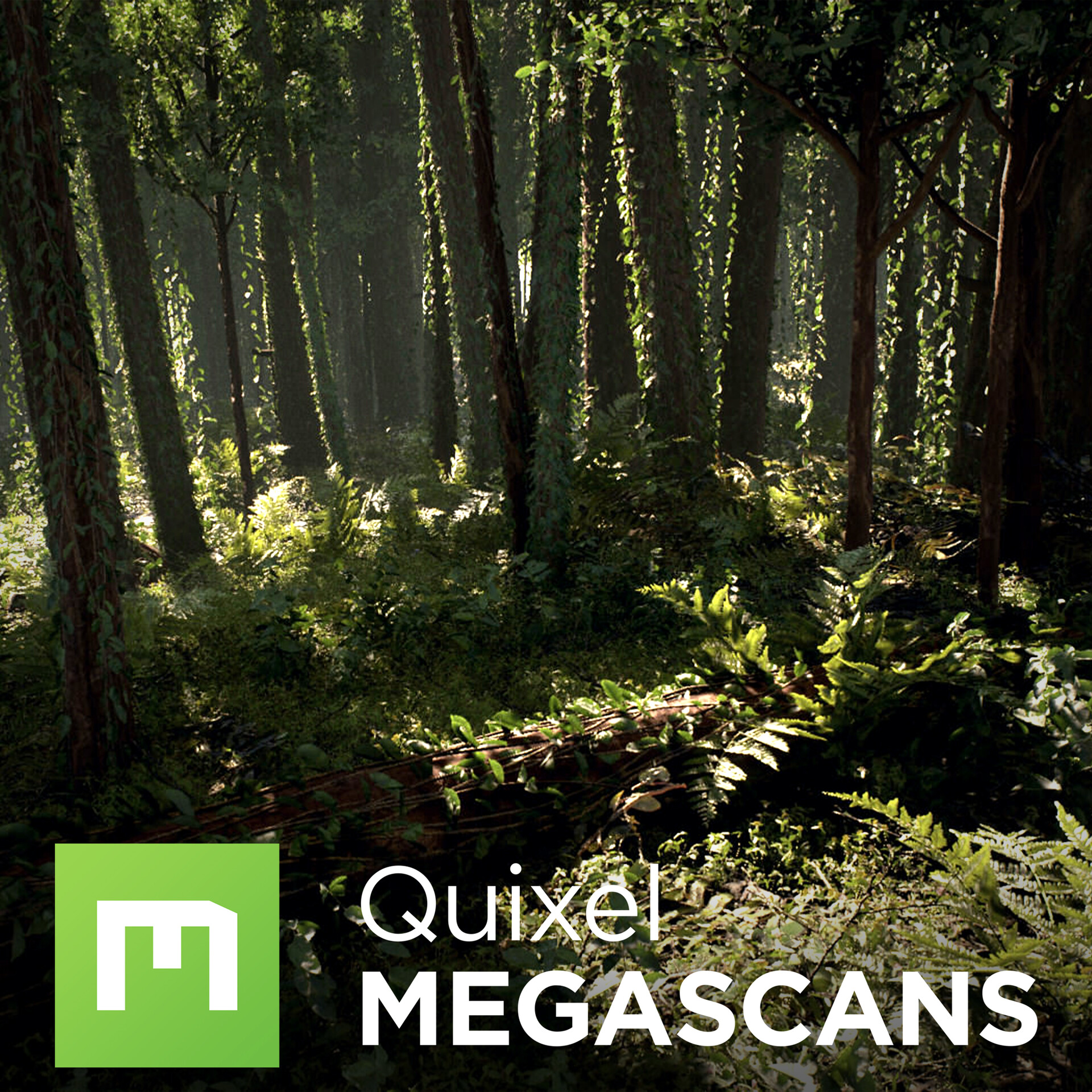 ArtStation - Megascans - Original Vegetation Library