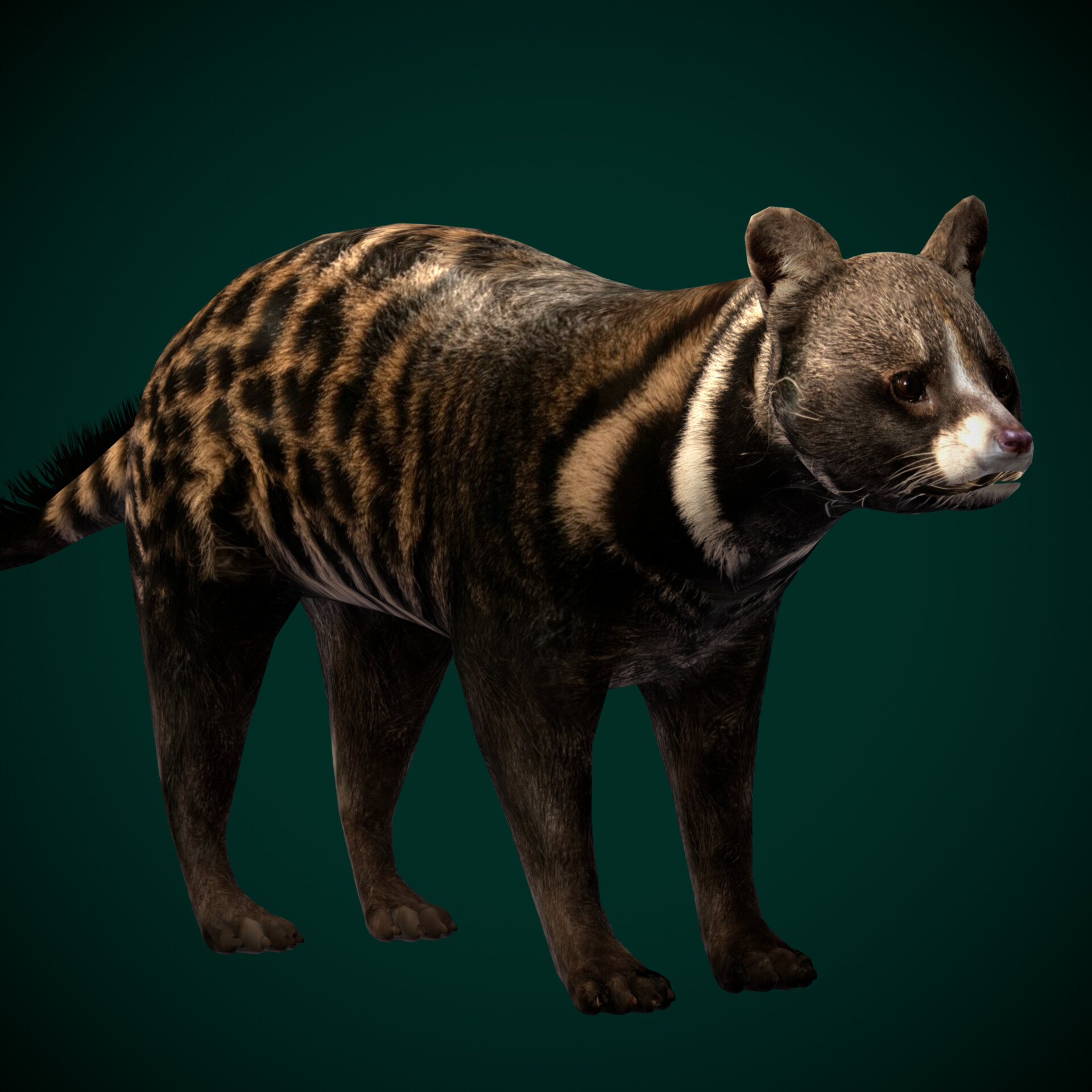 ArtStation - African Civet Cat