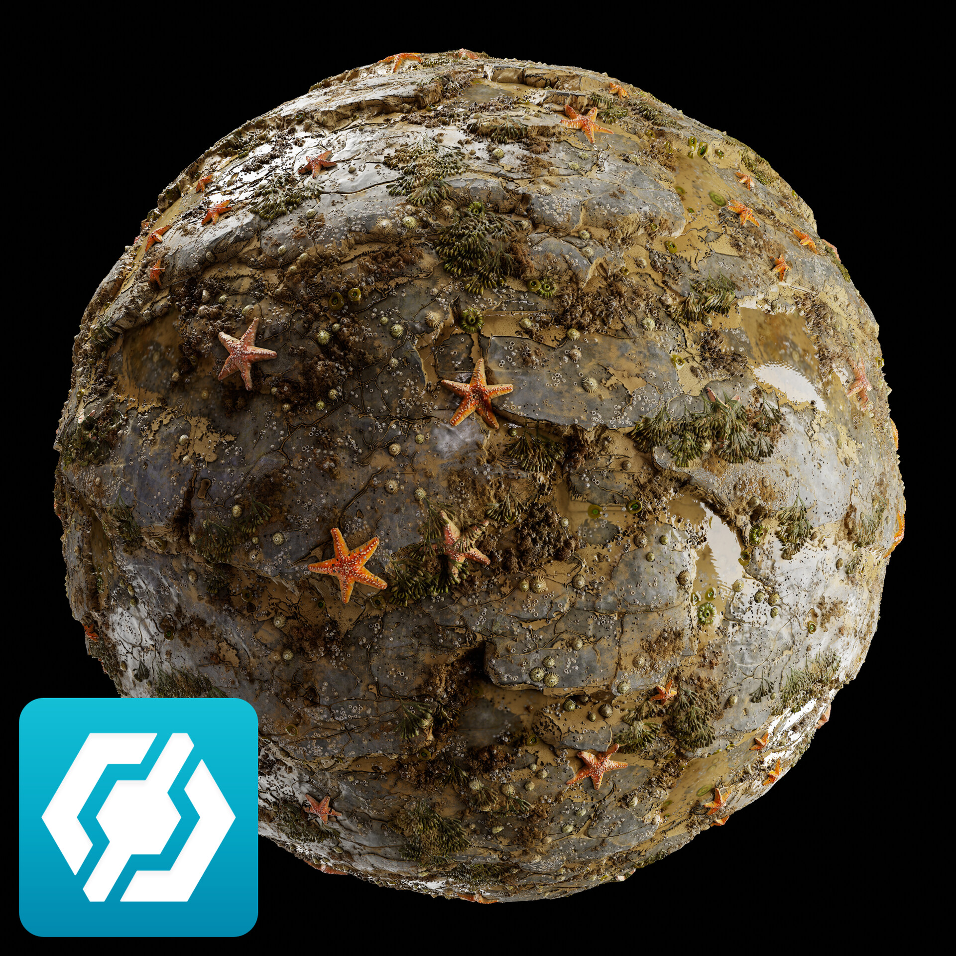 ArtStation - Pacific Tide Pools