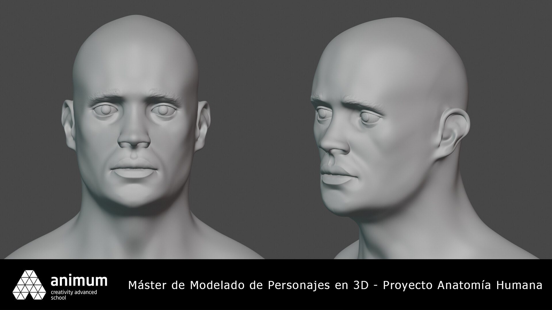 ArtStation - Proyecto de Anatomía - Máster de Modelado de Personajes 3D