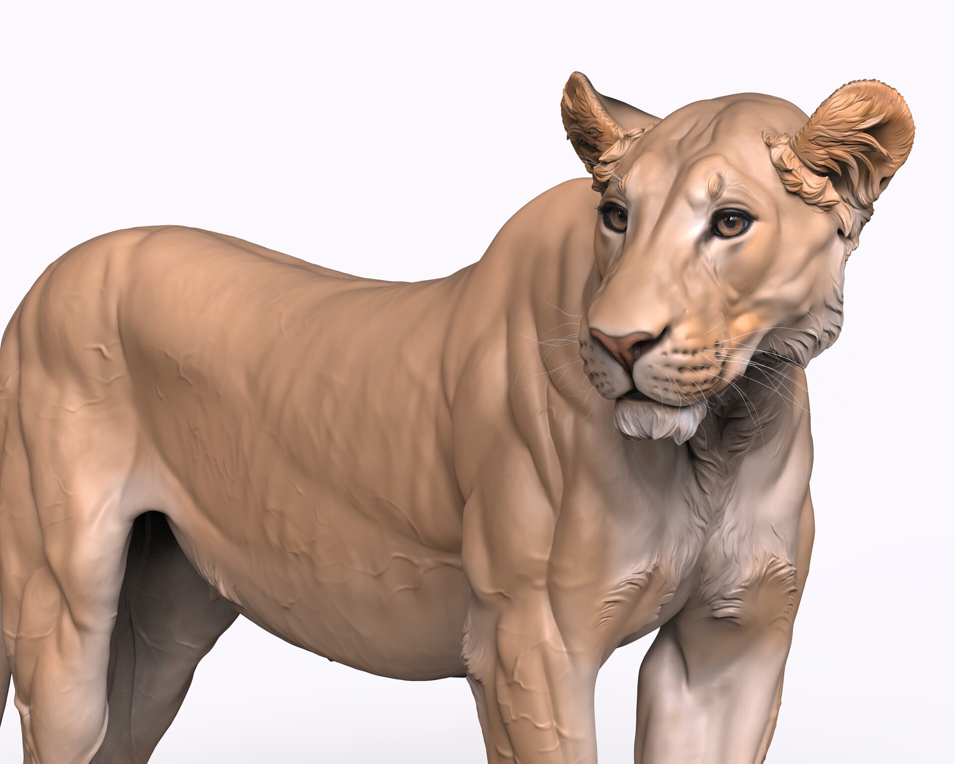 ArtStation - Lioness