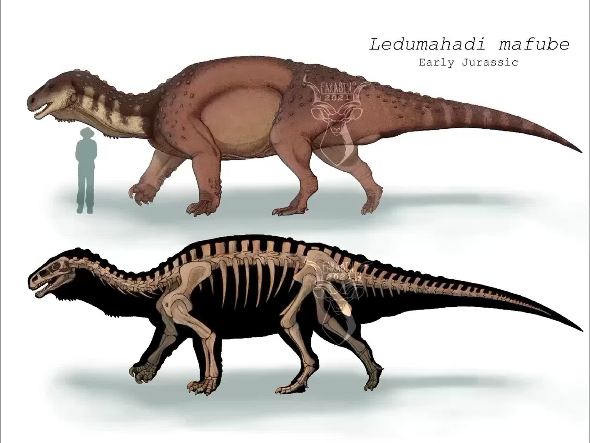 ArtStation - Ledumahadi Mafube (2021)