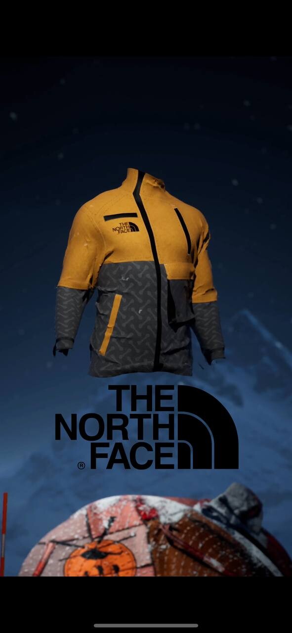 ArtStation - The north face