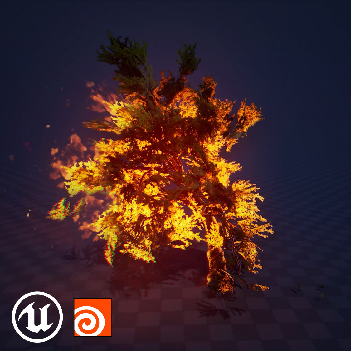 Lowenn Berthet - Burning Tree