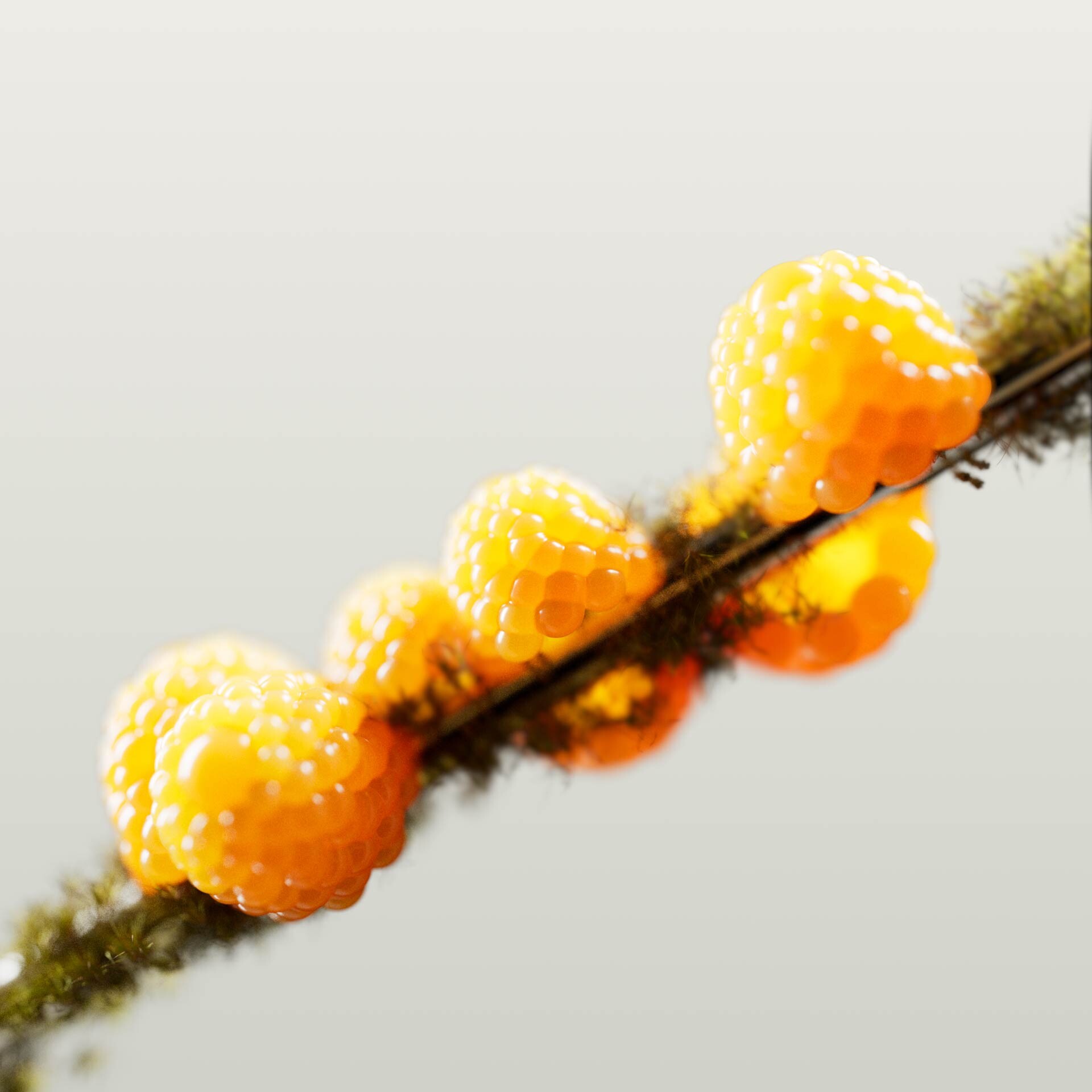 ArtStation - Harmony