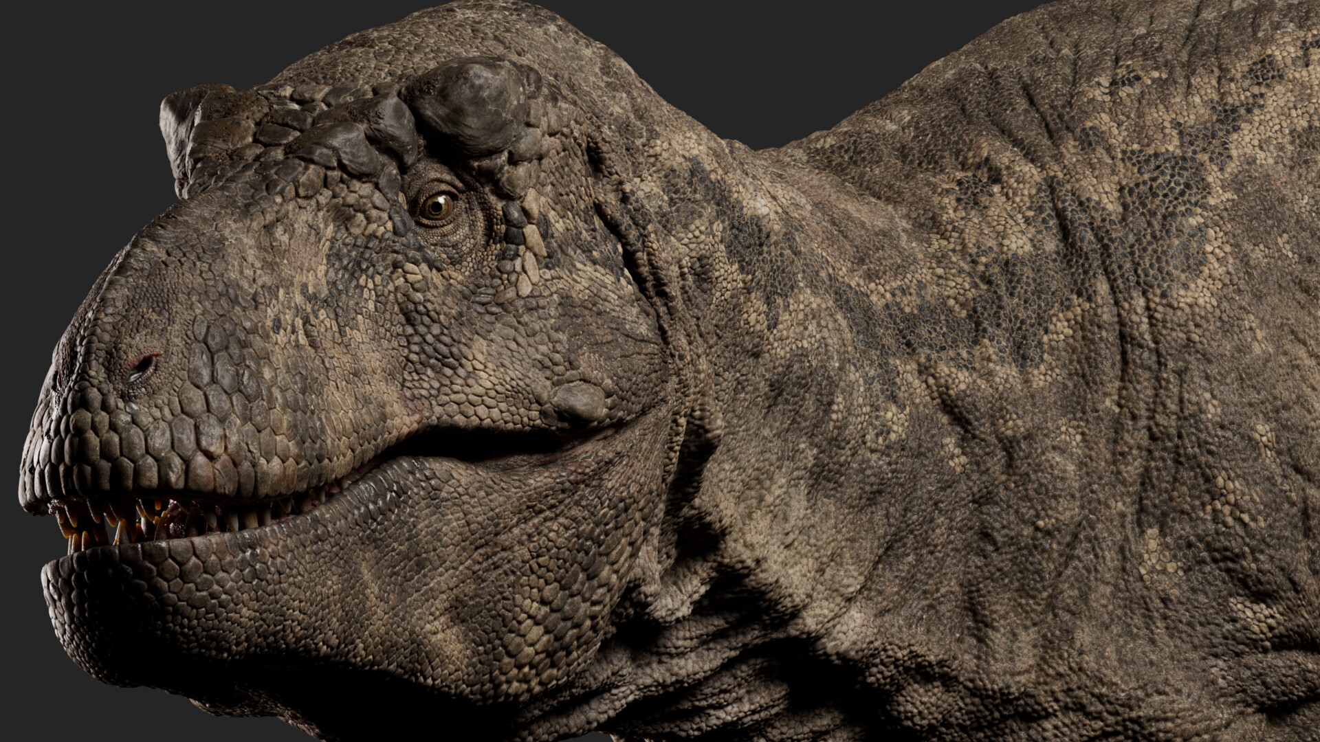 ArtStation - Tyrannosaurus rex Subadult