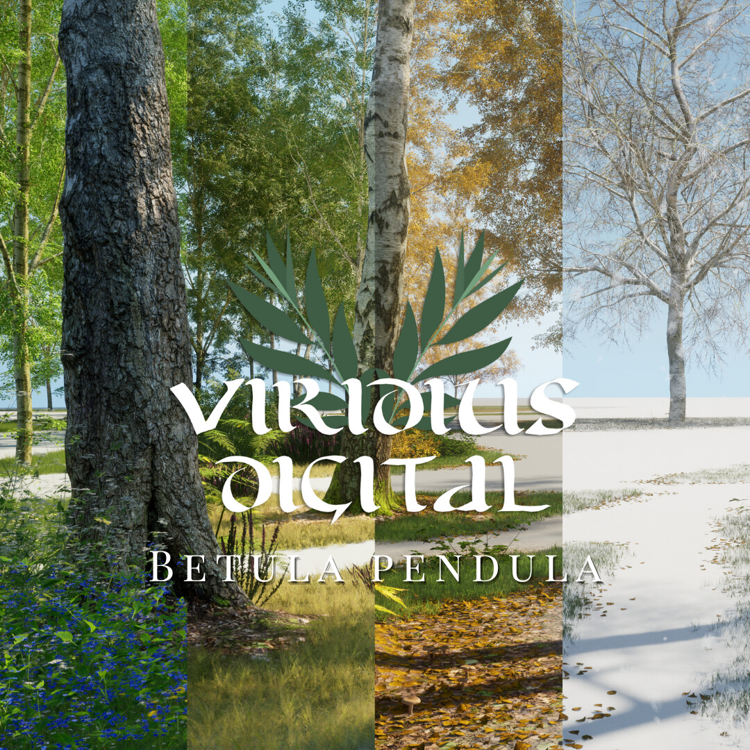 ArtStation - Betula pendula (Silver birch) trees