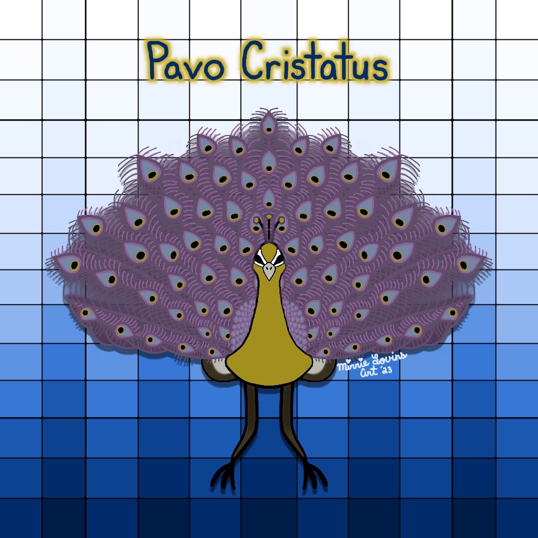 ArtStation - Inverted Creatures