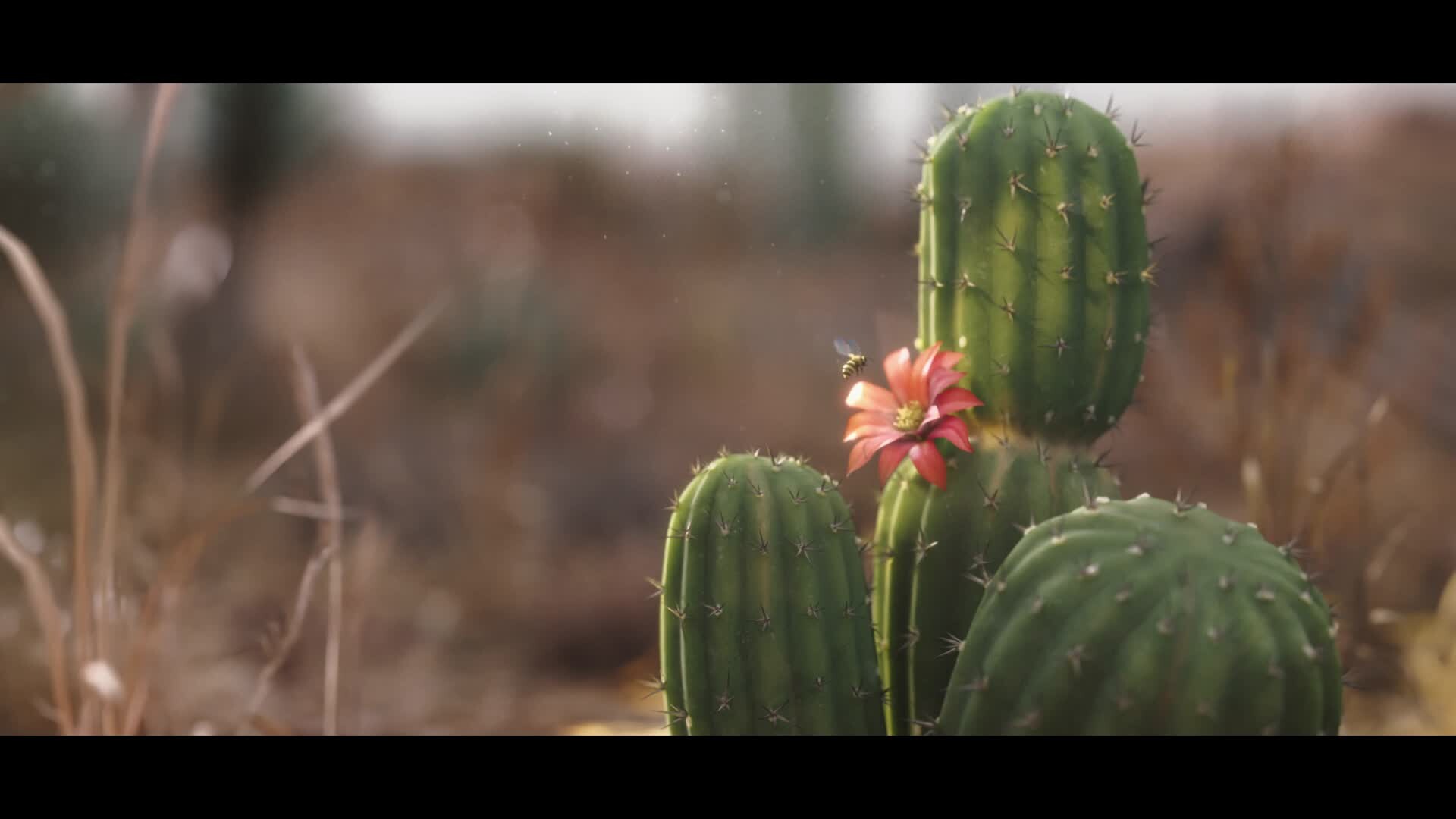 ArtStation - 3D Cactus