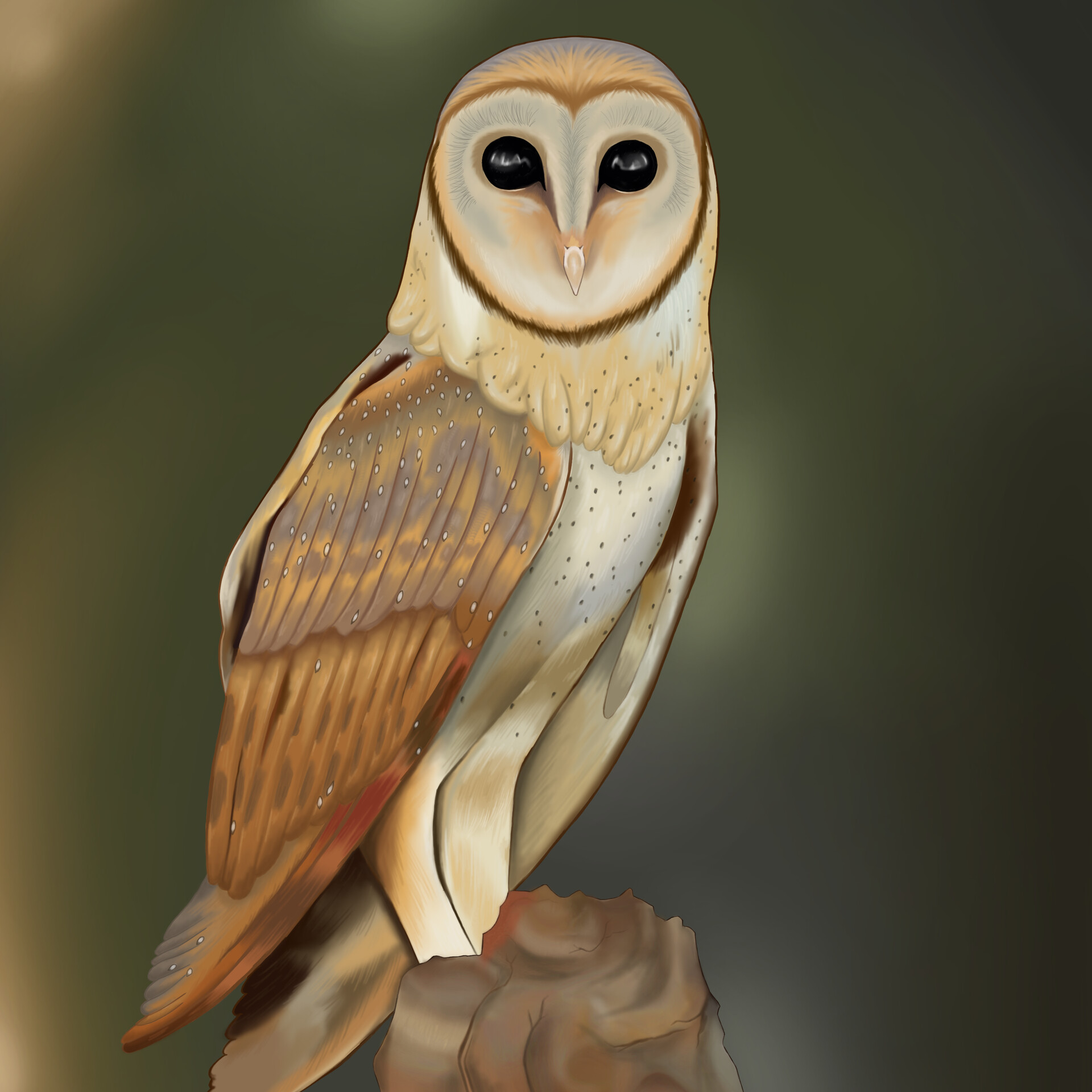 ArtStation - Owl Illustration