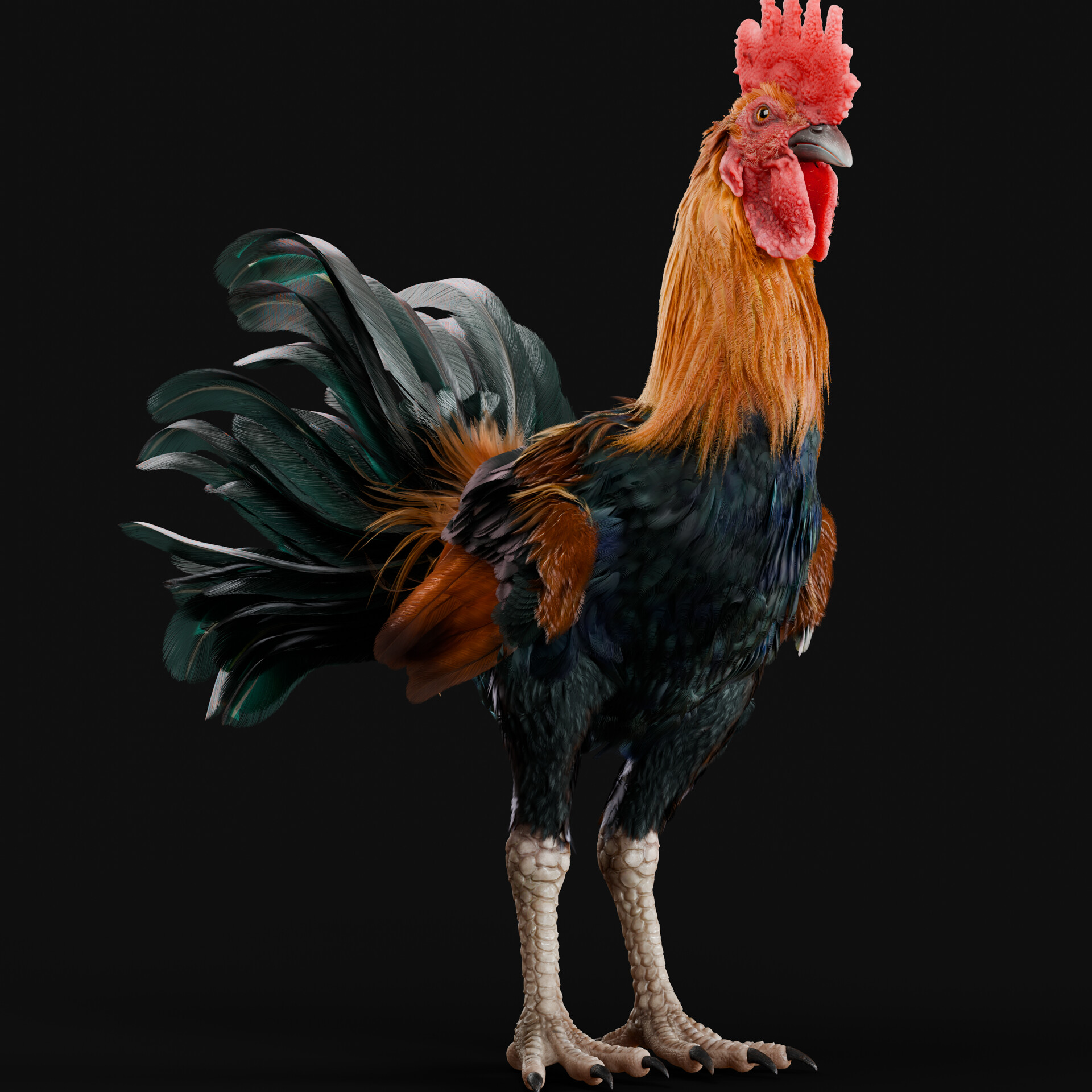 ArtStation - Rooster