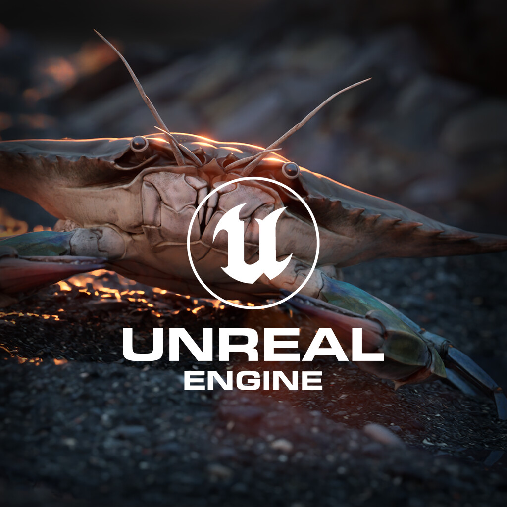 ArtStation - Blue Crab "From Sea To 3D" Part II