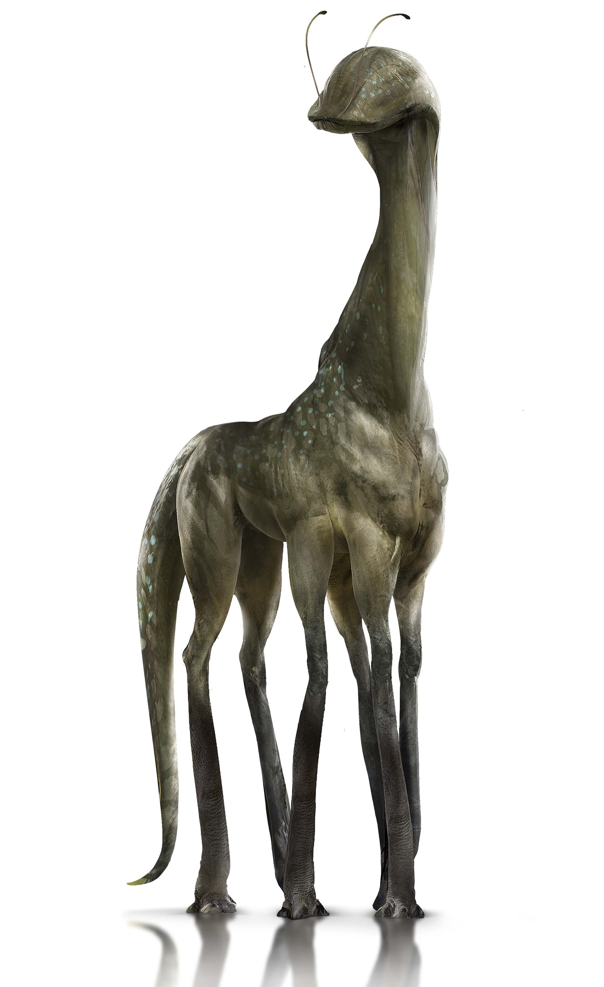 ArtStation - Sylphire