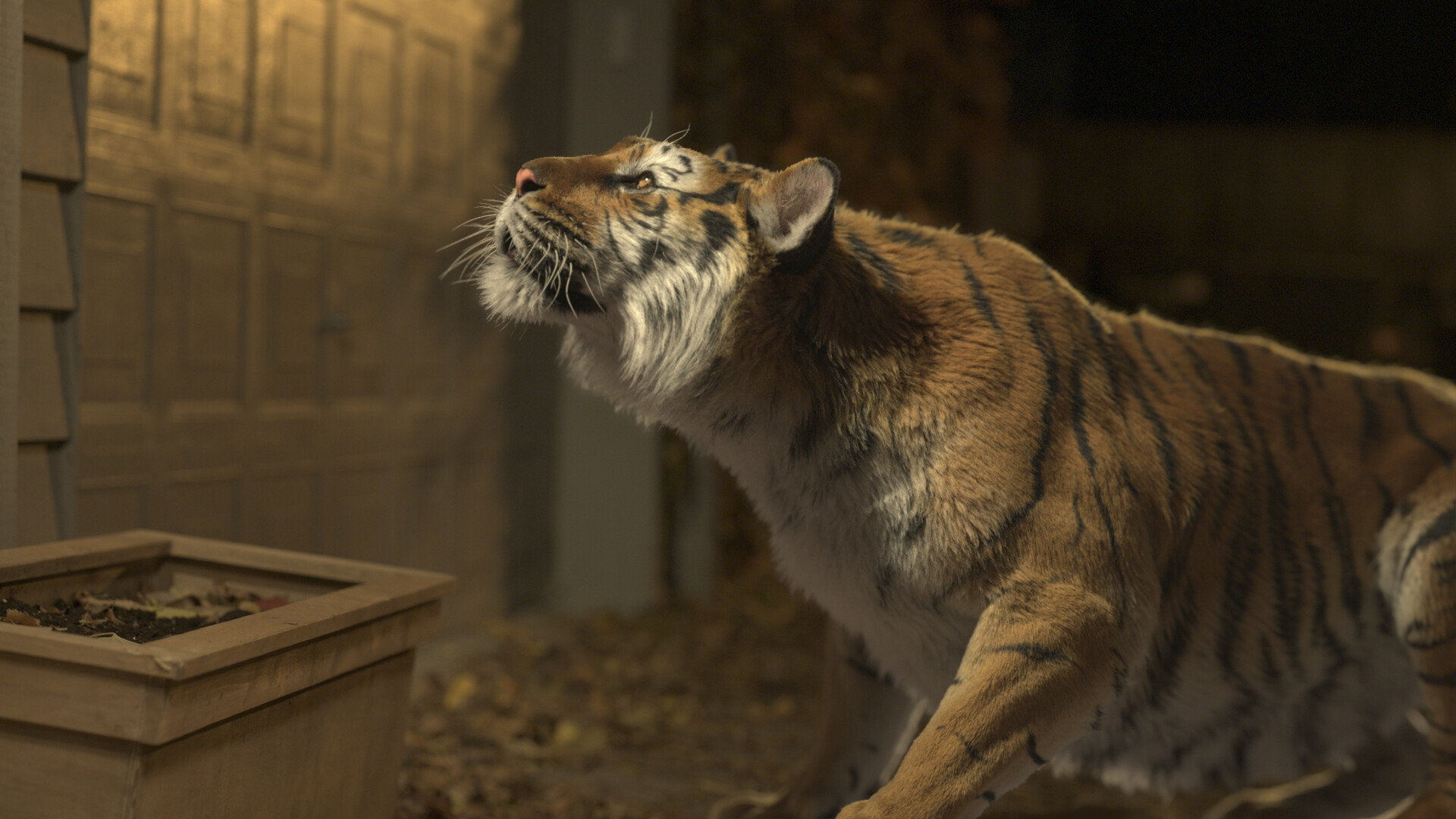 ArtStation - JANE - Tiger: Selected Shots