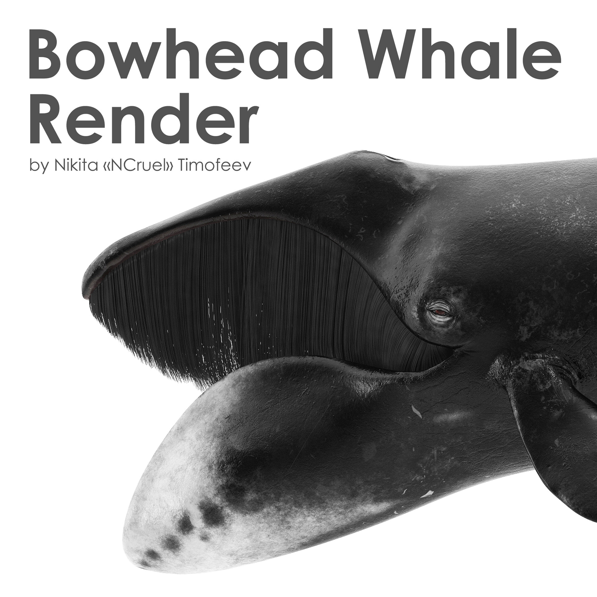 ArtStation - Bowhead Whale