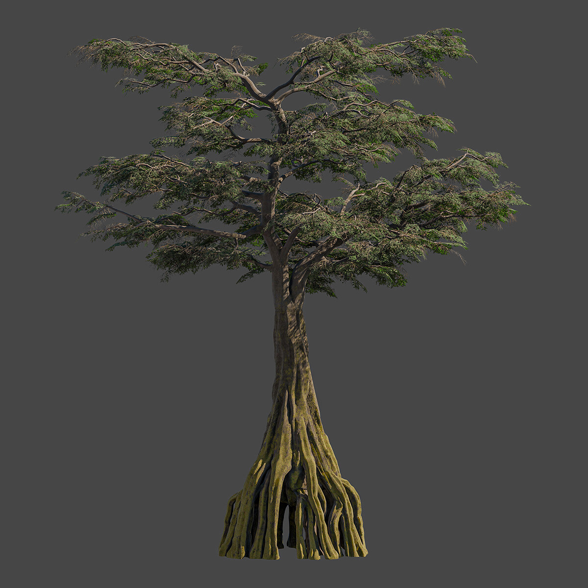 ArtStation - Bald Cypress