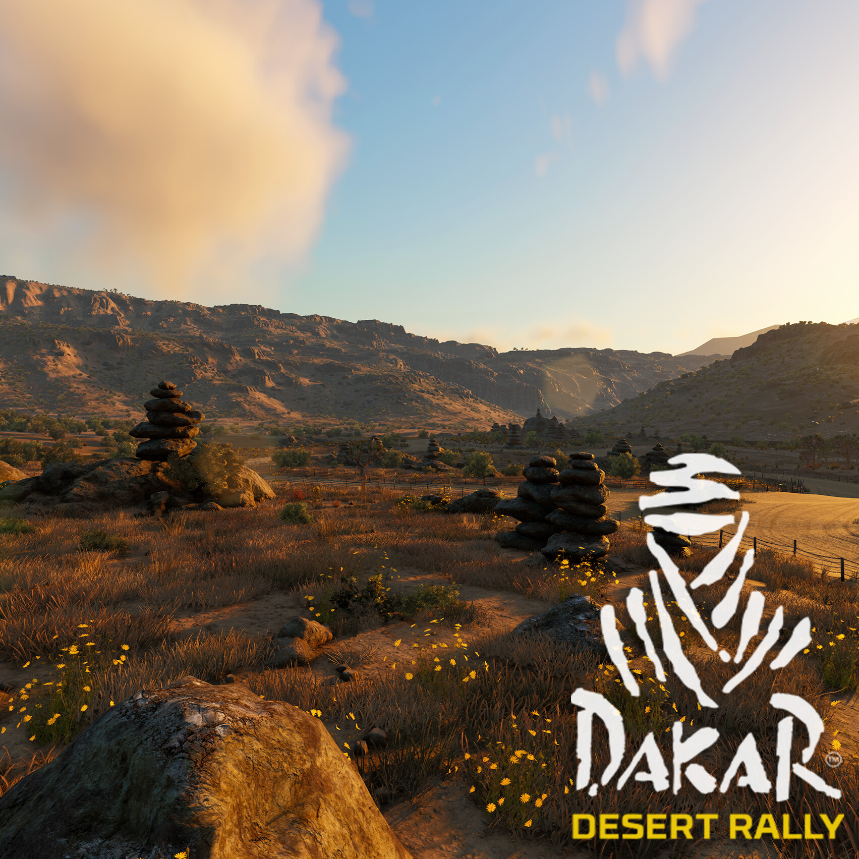 ArtStation - Dakar Desert Map - USA Map