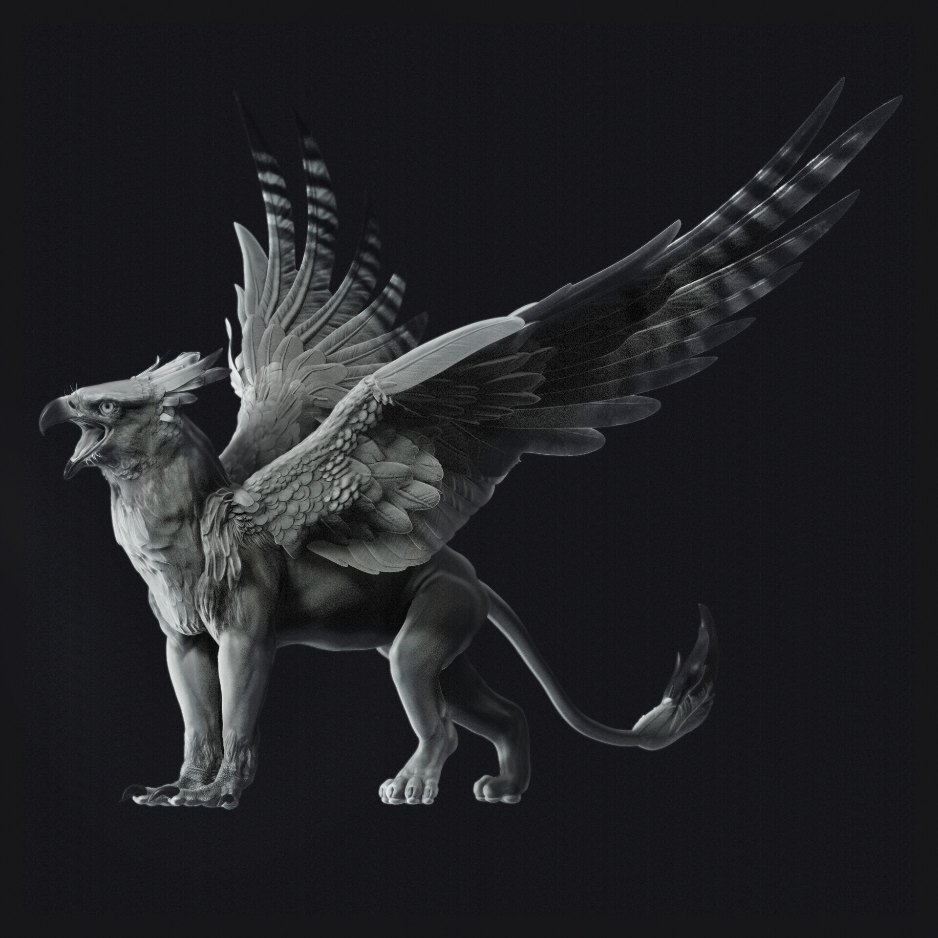 ArtStation - Griffin Sketch