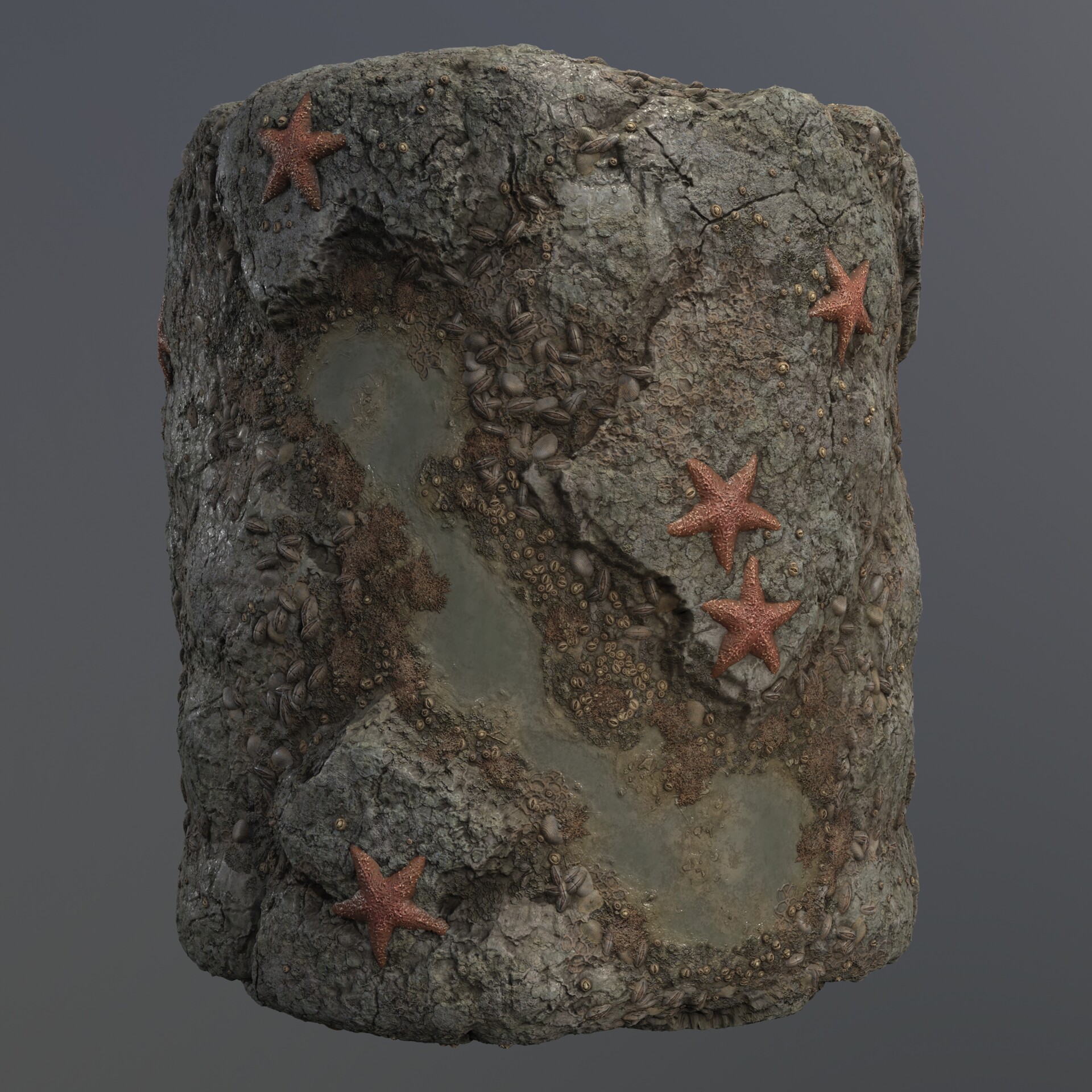 ArtStation - Tide Pool