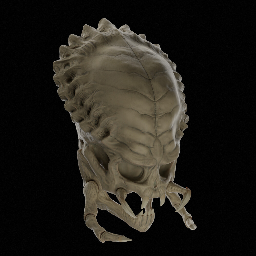 ArtStation - skull Predator