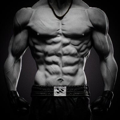 ArtStation - - Anatomy of an Mma Fighter