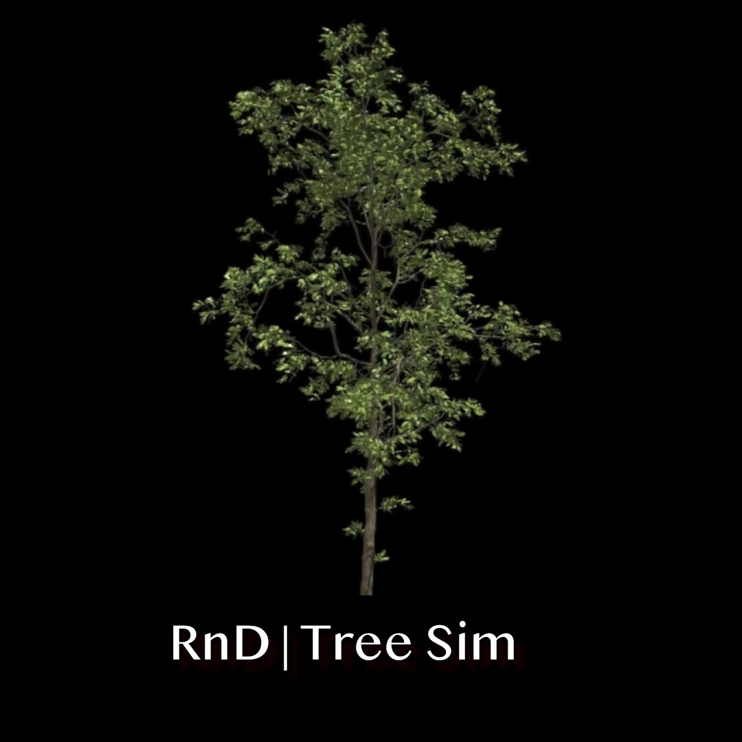 ArtStation - Basic Tree Simulation - Houdini