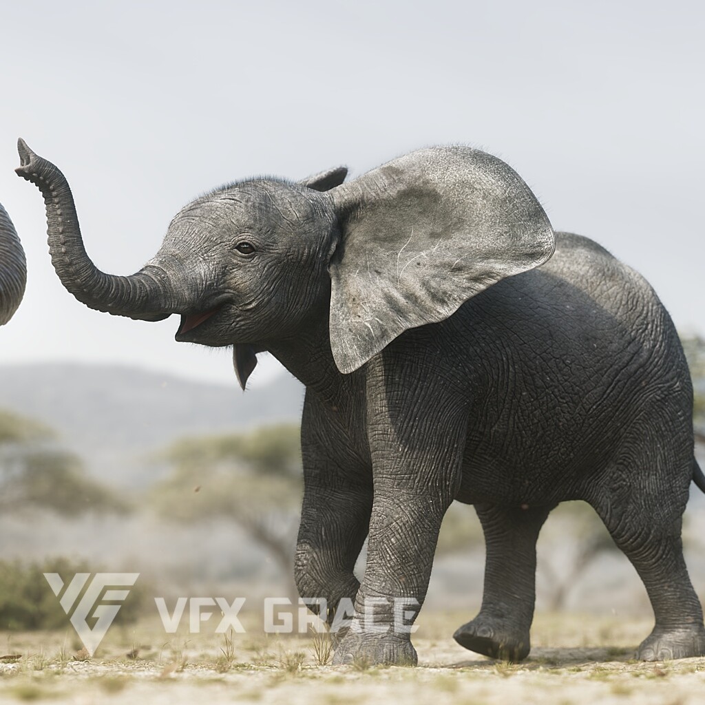 ArtStation - Young African Elephant Animated - UE Character Asset
