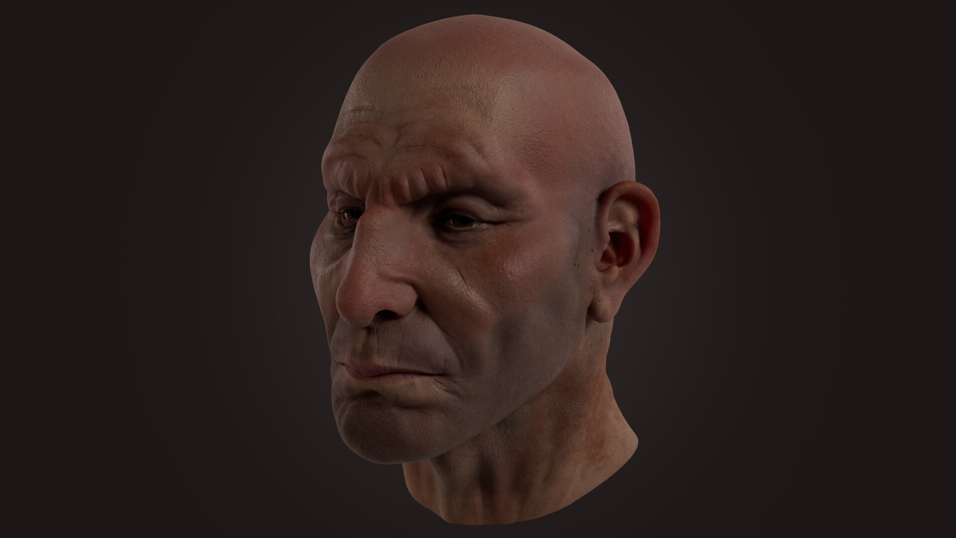 ArtStation - Chief Wolf