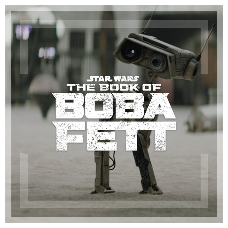 David Roberge - Portfolio