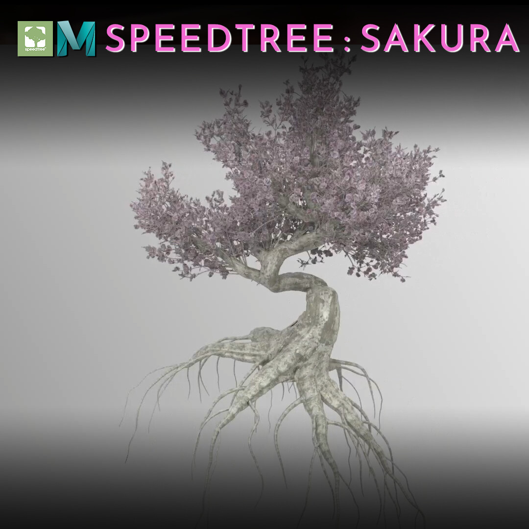 ArtStation - Sakura Tree
