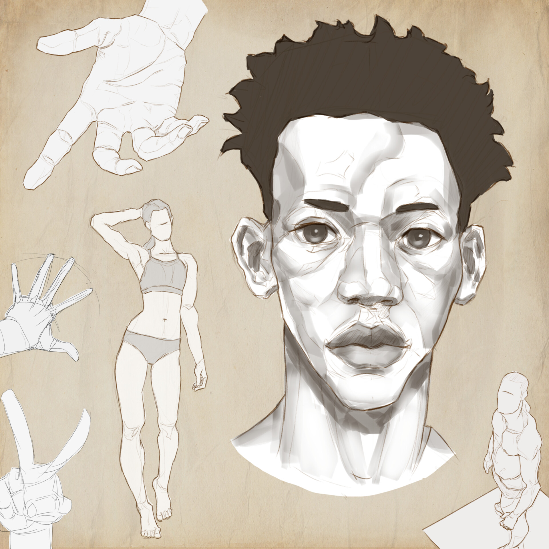 Cori The Knight - Studies