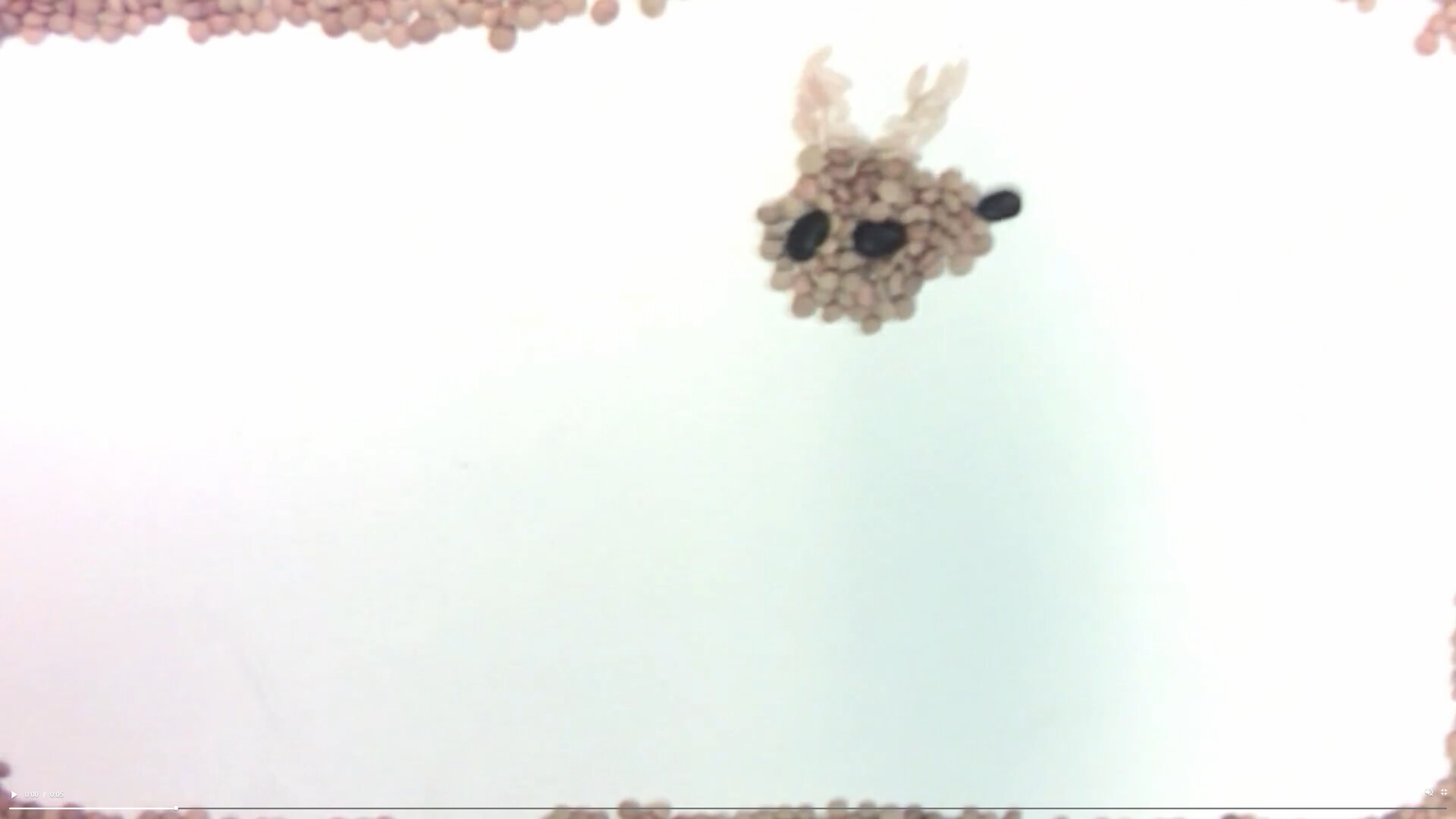 ArtStation - Legumes Animation