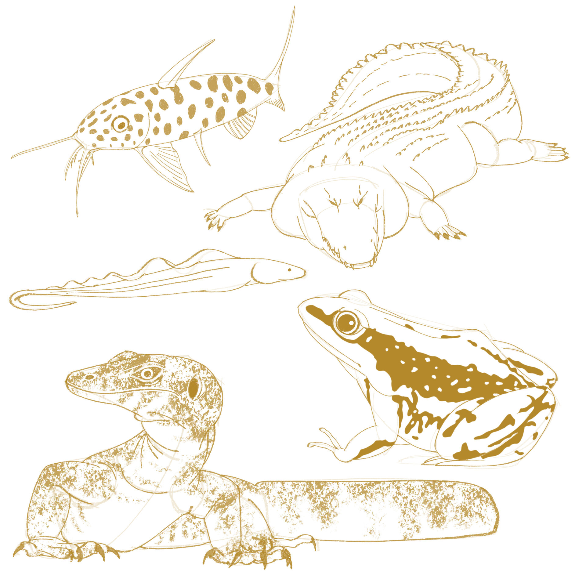 Edea Cross - Animal sketches