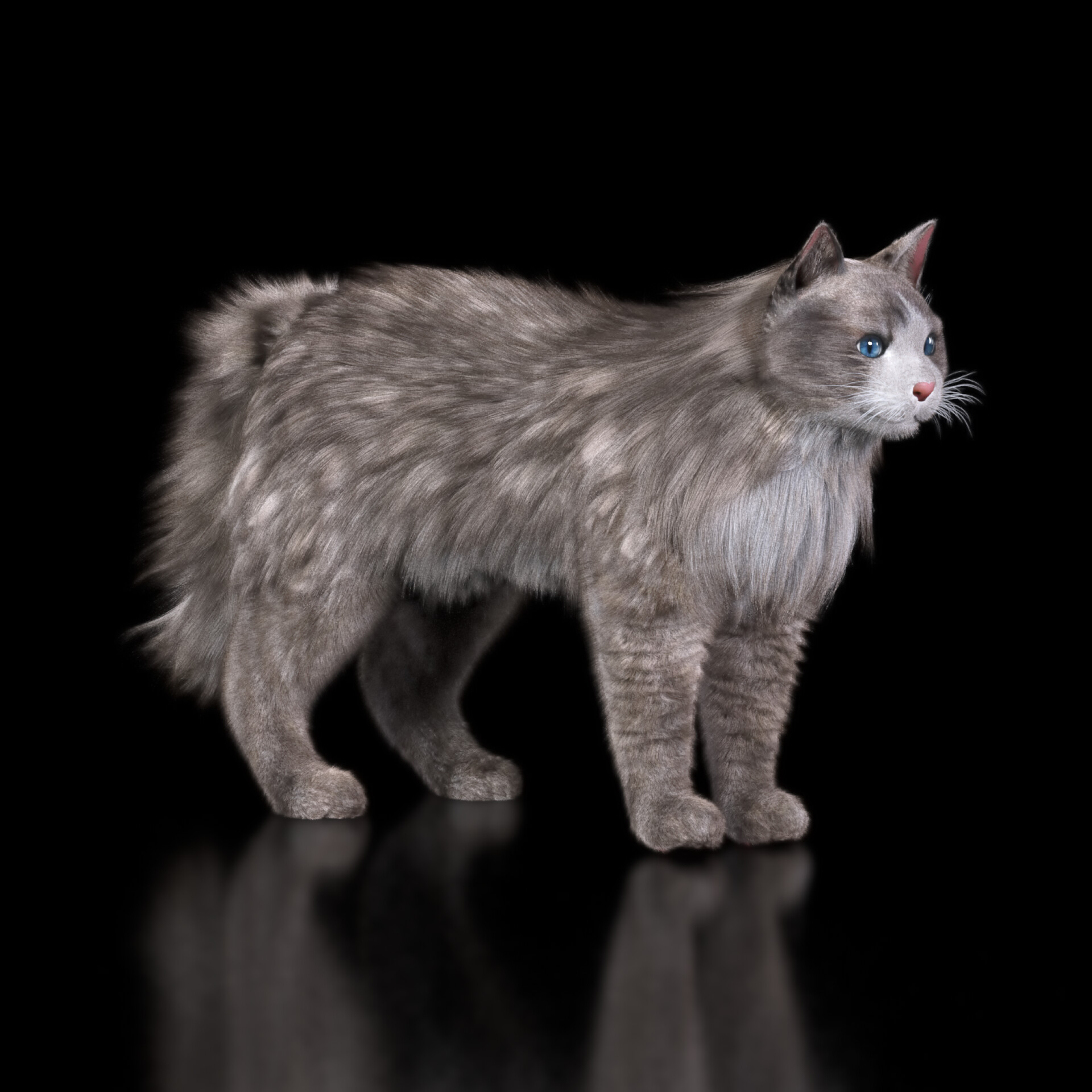 ArtStation - Realistic Fur 3d Cat