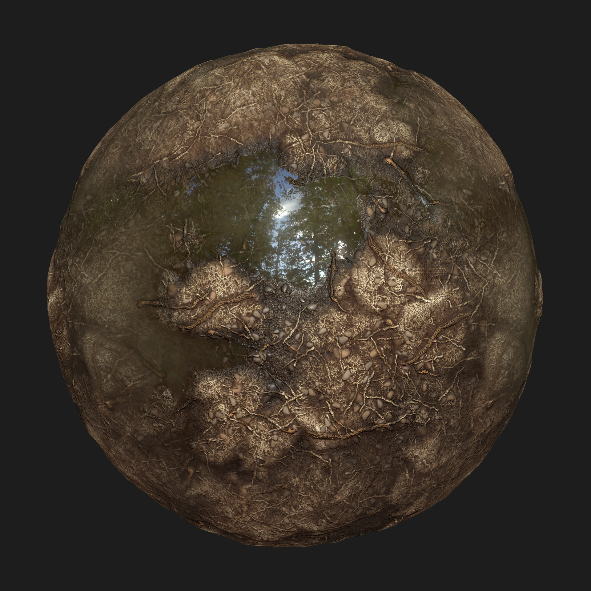 ArtStation - Substance Designer - Muddy Ground Material