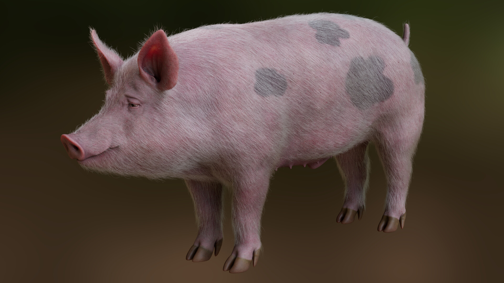 ArtStation - Pig