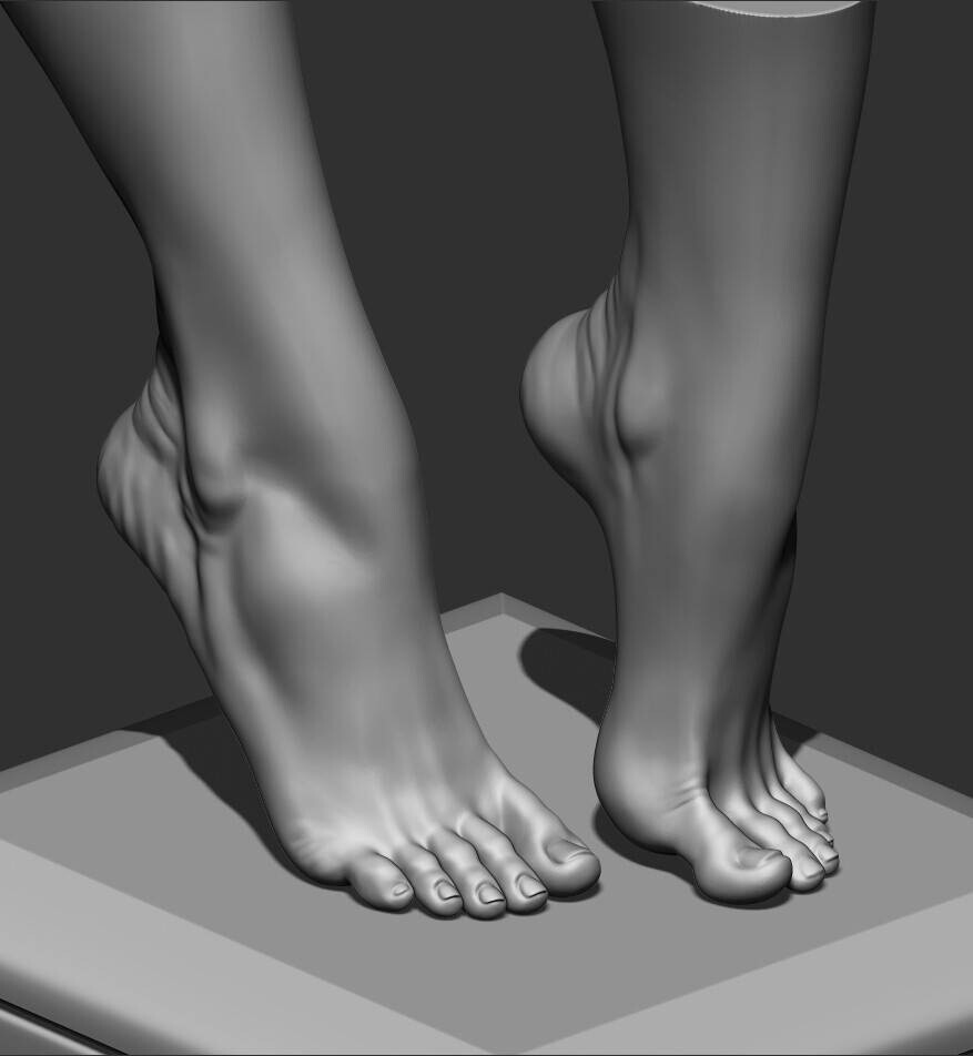 ArtStation - anatomy's hidden point