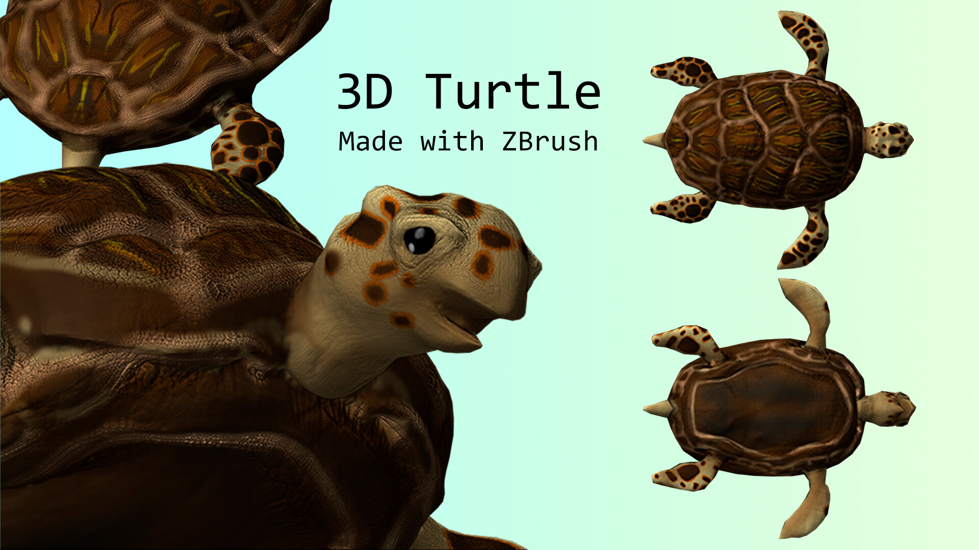 ArtStation - 3D Turtle made with ZBrush