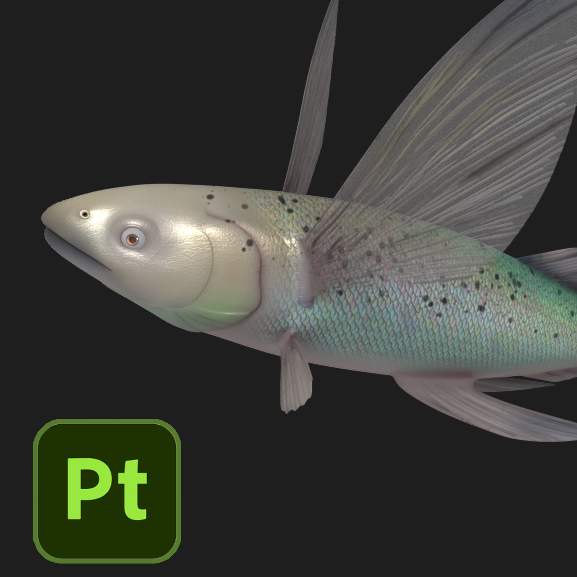 ArtStation - Flying Fish - Realistic