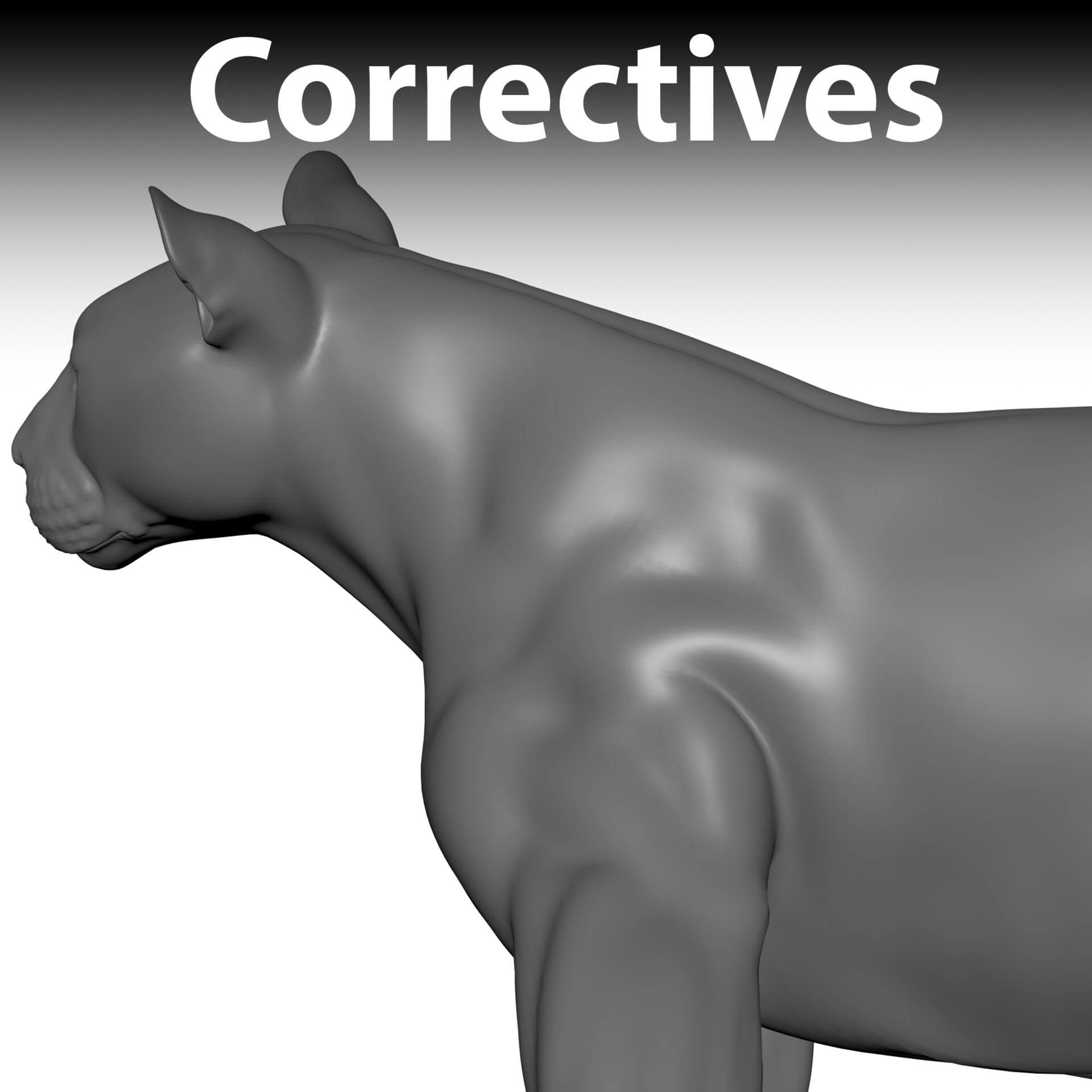 ArtStation - Jane - Tiger: Correctives